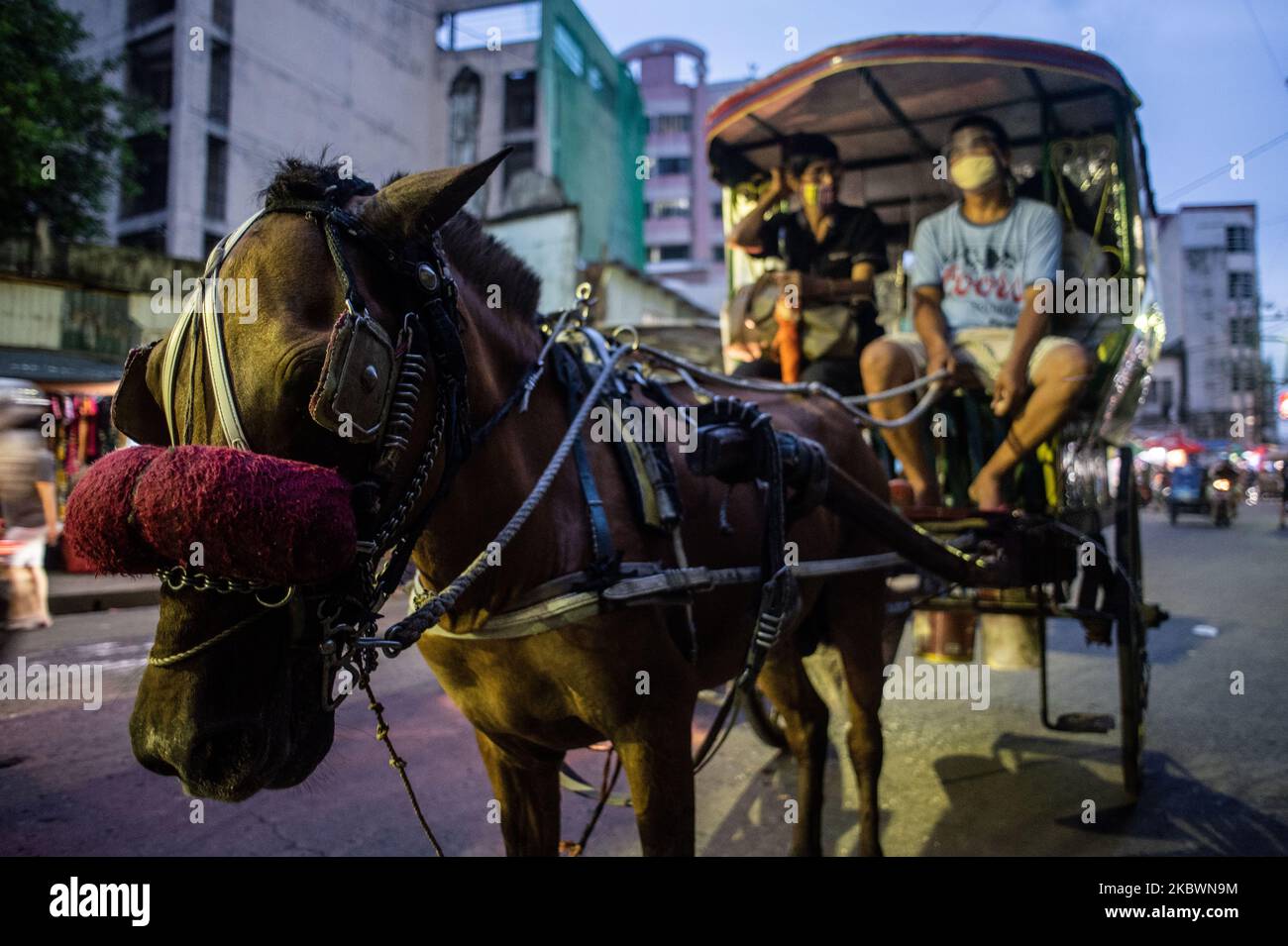 A man drives a horse-drawn carriage used as a mode of transportation in ...