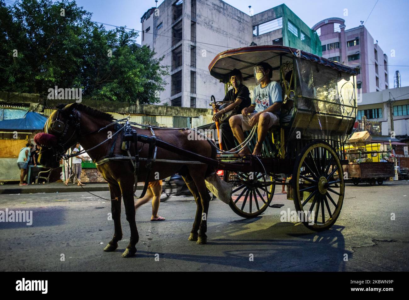 A man drives a horse-drawn carriage used as a mode of transportation in ...