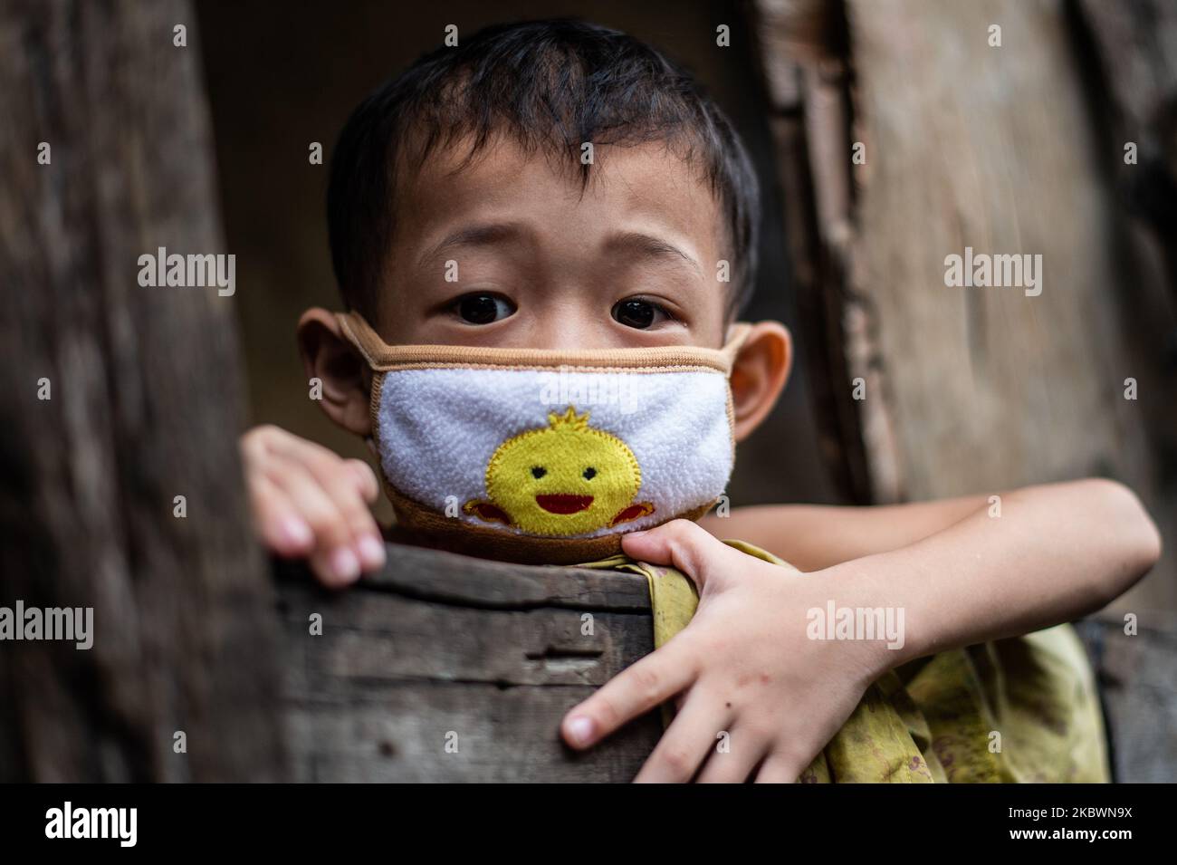 Lisa marie david nurphoto hi-res stock photography and images - Alamy