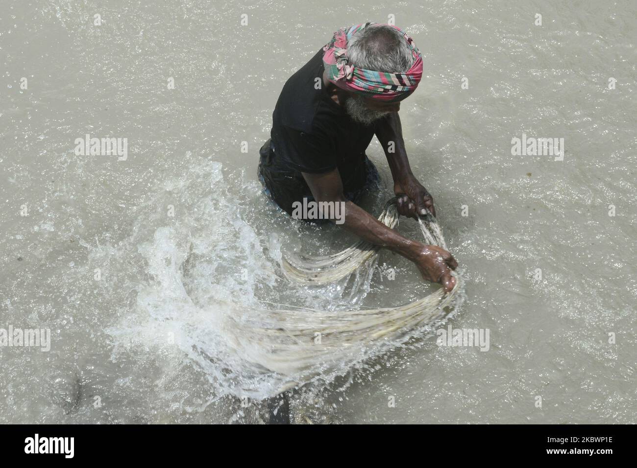 Jute harvesting in bangladesh hi-res stock photography and images - Alamy