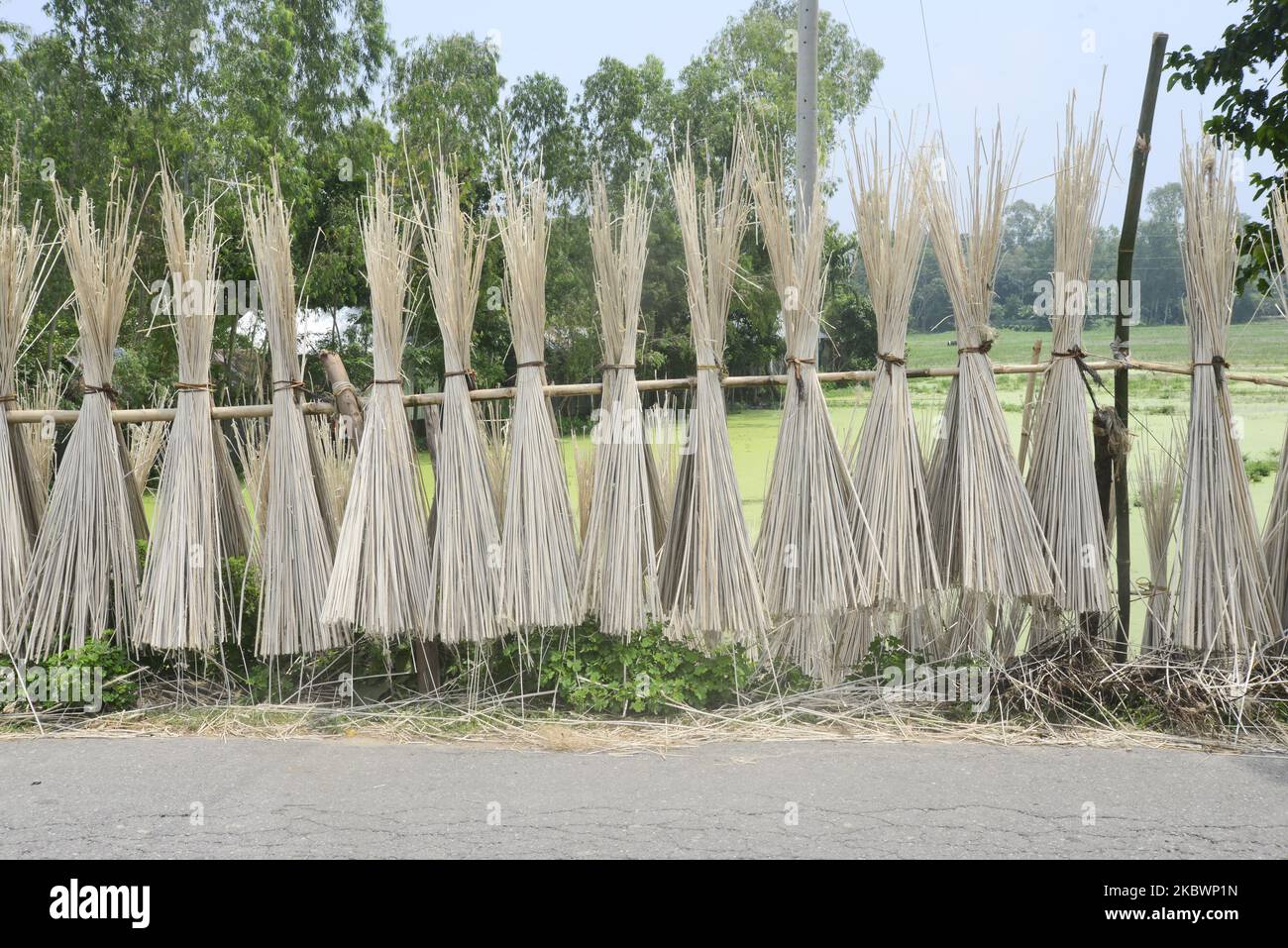 Jute bangladesh child hi-res stock photography and images - Alamy