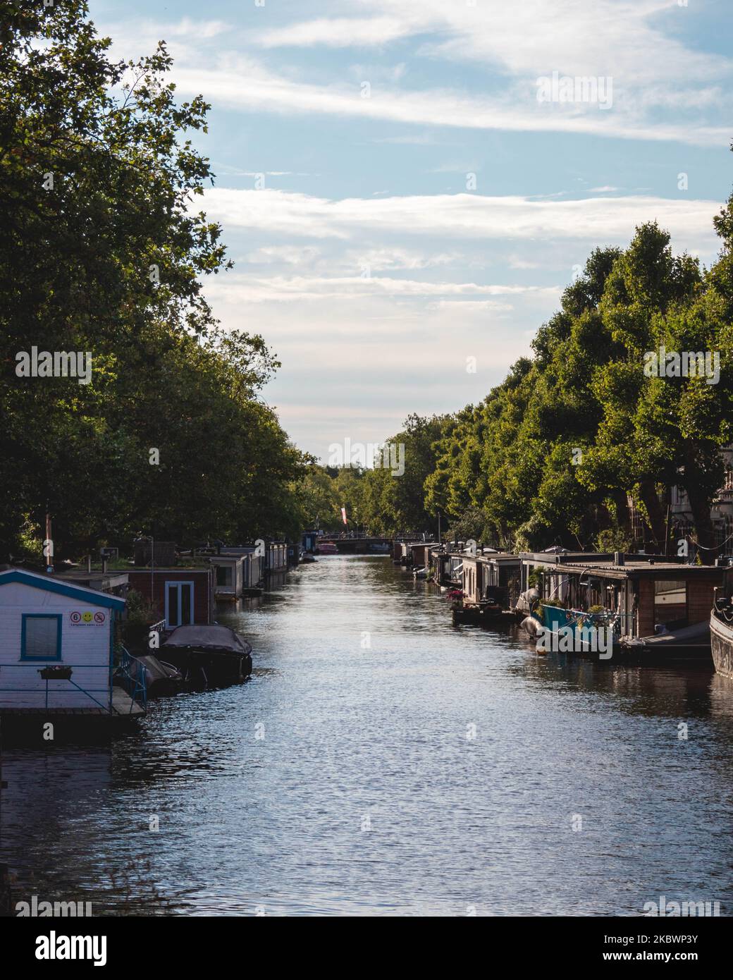 A vertical of a farming water canal in the middle of an urban area in ...
