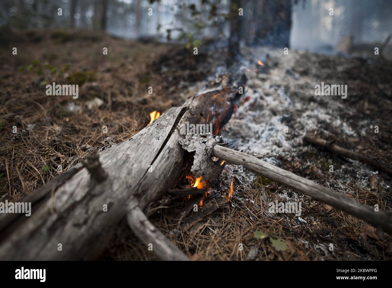 Fear of fires hi-res stock photography and images - Alamy