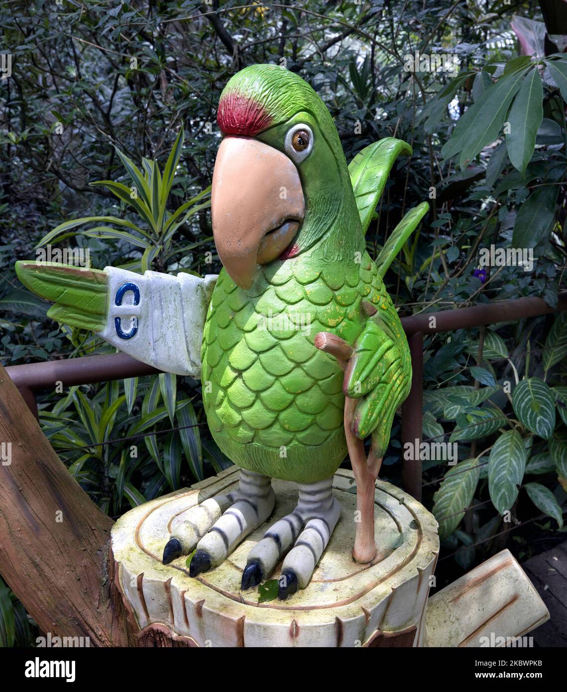 Parrot rio hi-res stock photography and images - Alamy