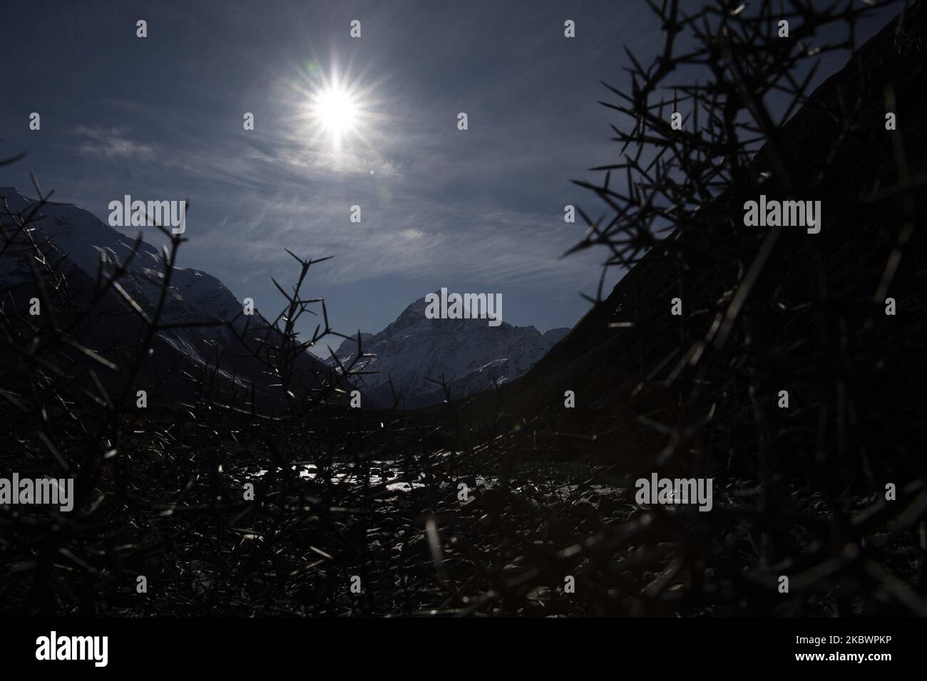 Moonlight track new zealand hi-res stock photography and images - Alamy
