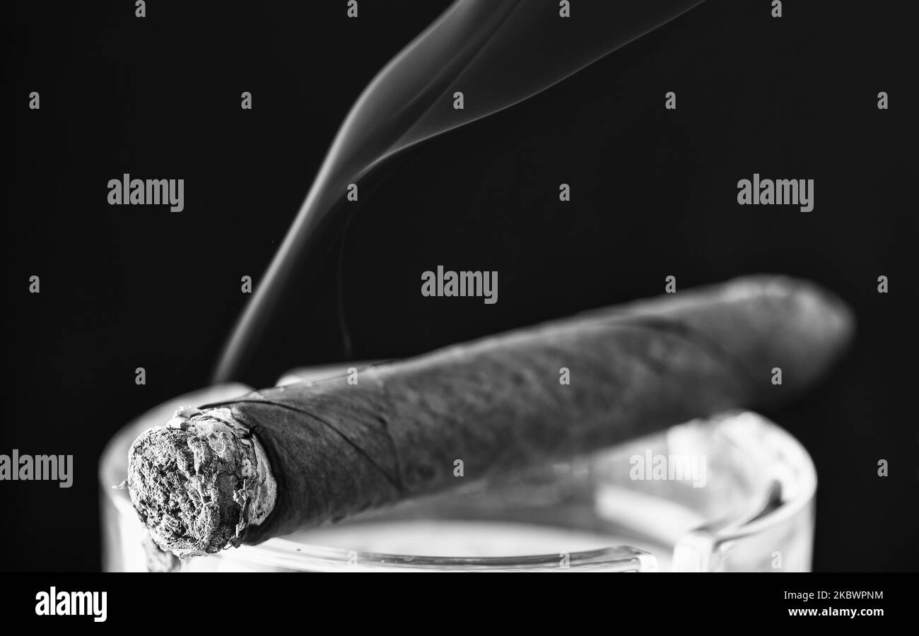 Steaming cigar. Lighting cuban cigar. Tobacco smoking. Tobacco smoke ...