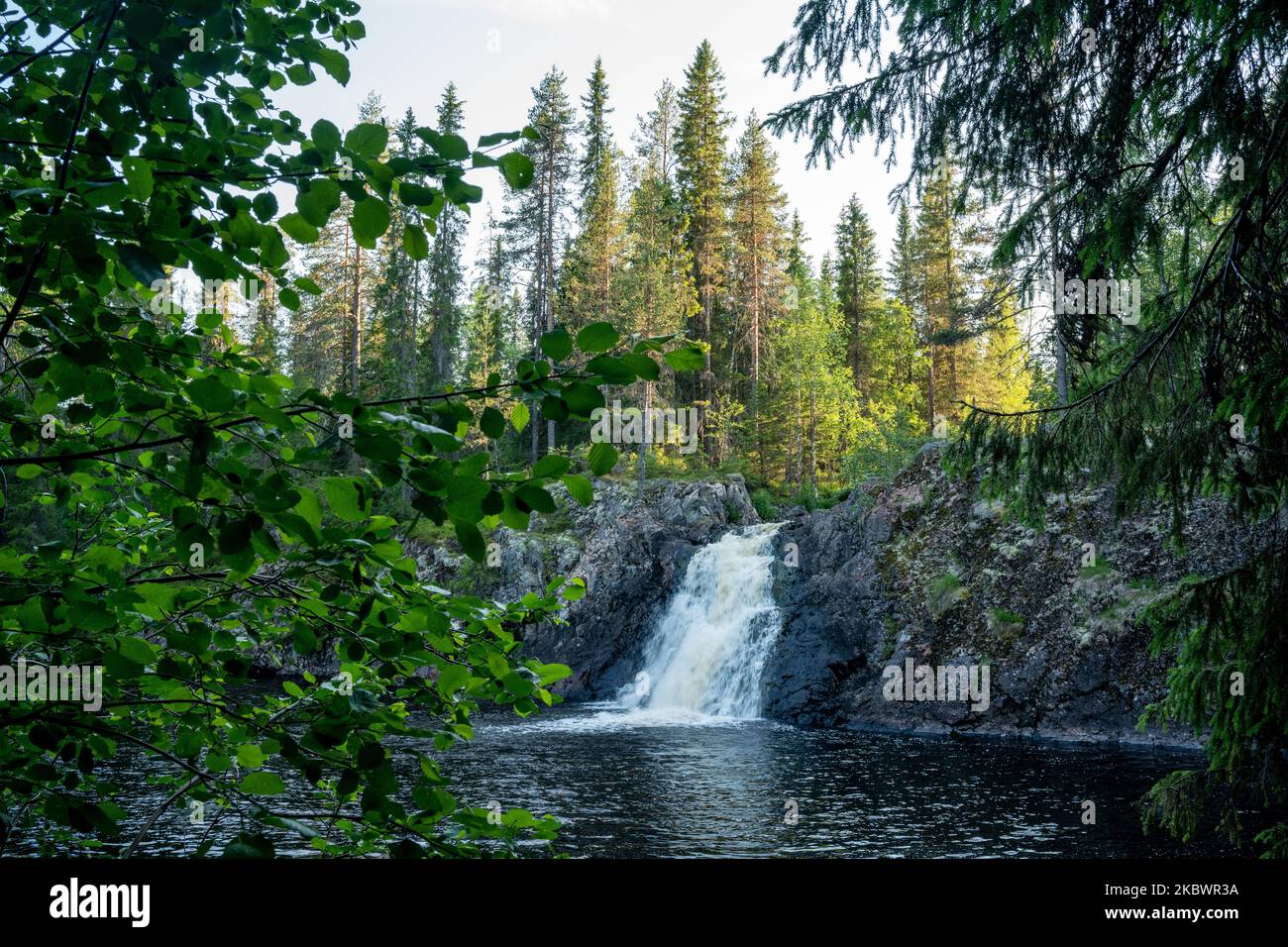 Beautiful Komulanköngäs waterfall on a summer evening. Shot near ...
