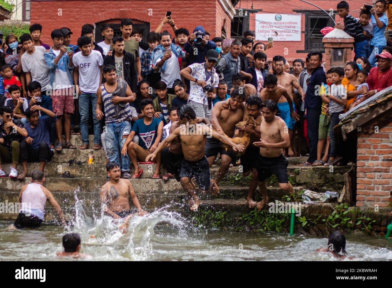 Nepalese people grab a goat on the side of a pond before sacrifice ...