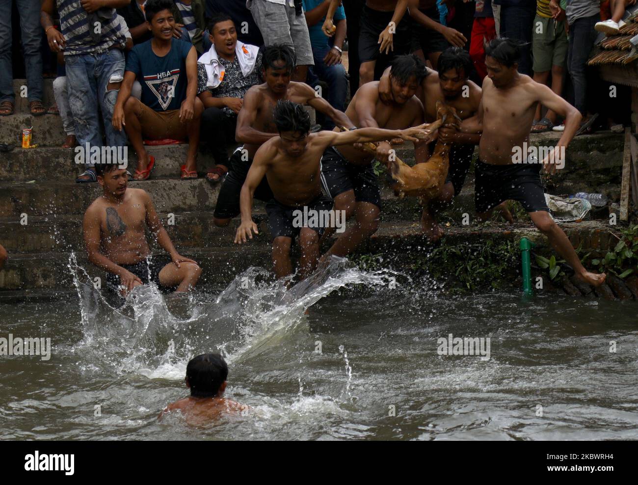 Nepalese devotees jump into a pond during deopokhari Jatra also know as ...