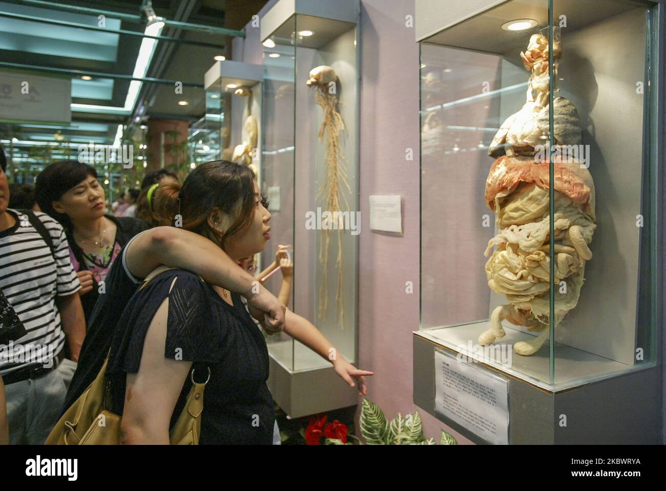 A Visitors look real human body during The Real Body Exhibition in ...