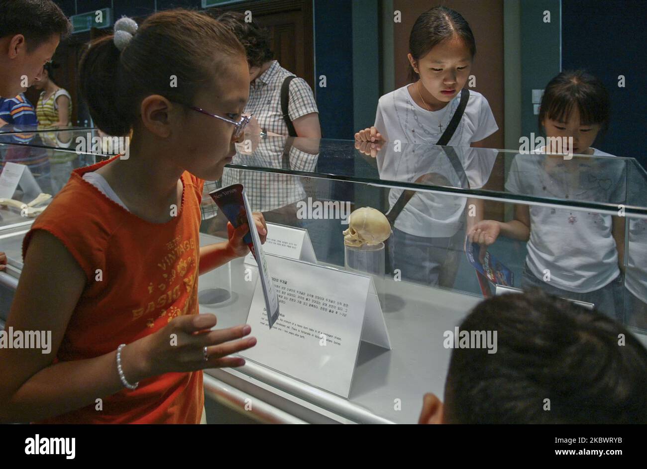 A Visitors look real human body during The Real Body Exhibition in ...