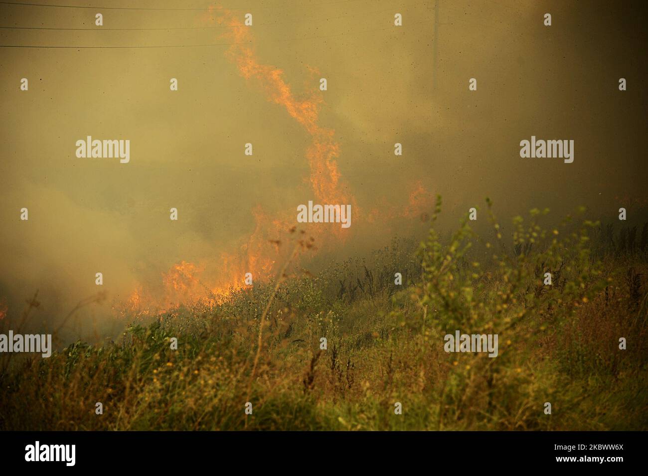 Huge Forest fire is burnig between the villages of Balgarin, Rogozinovo ...