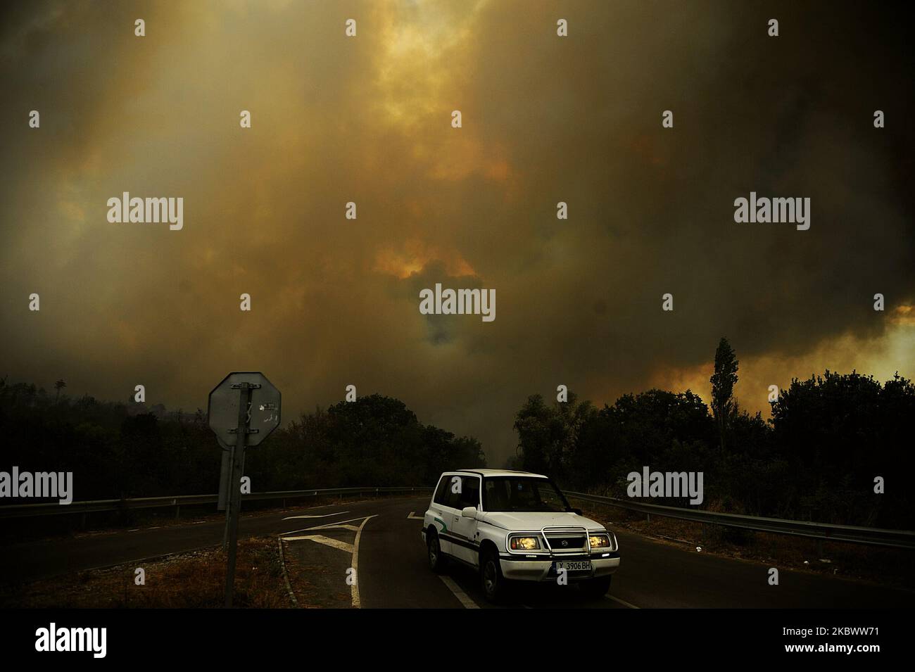Huge Forest fire is burnig between the villages of Balgarin, Rogozinovo ...