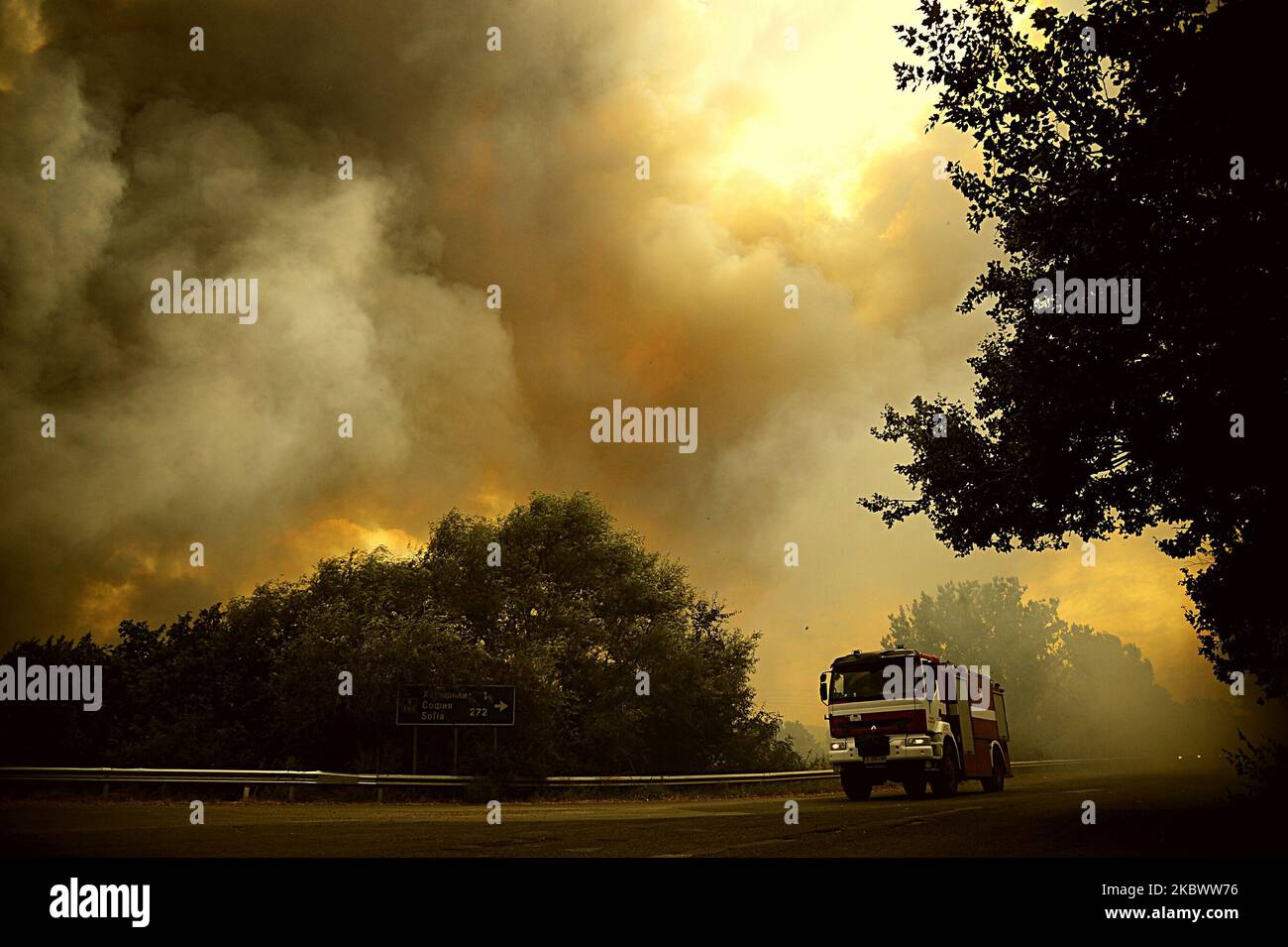 Huge Forest fire is burnig between the villages of Balgarin, Rogozinovo ...