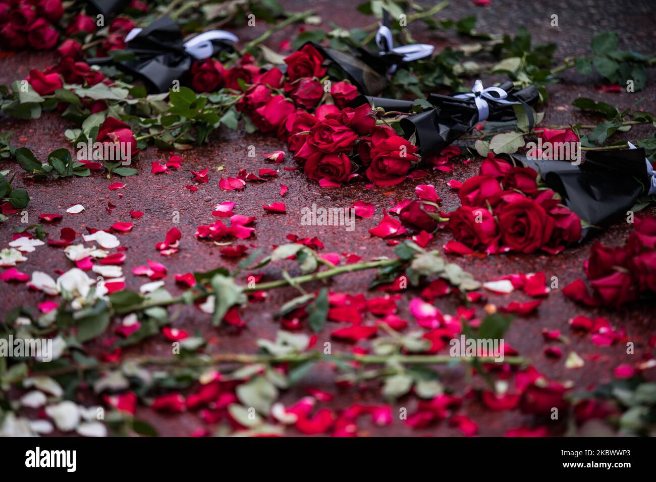 Red roses laid on the pavement with red paint symbolizing blood during ...