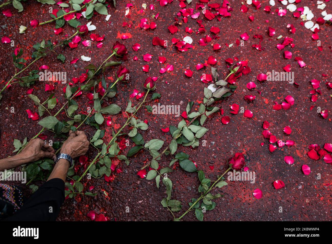 A woman lays a red rose on the pavement with red paint symbolizing ...
