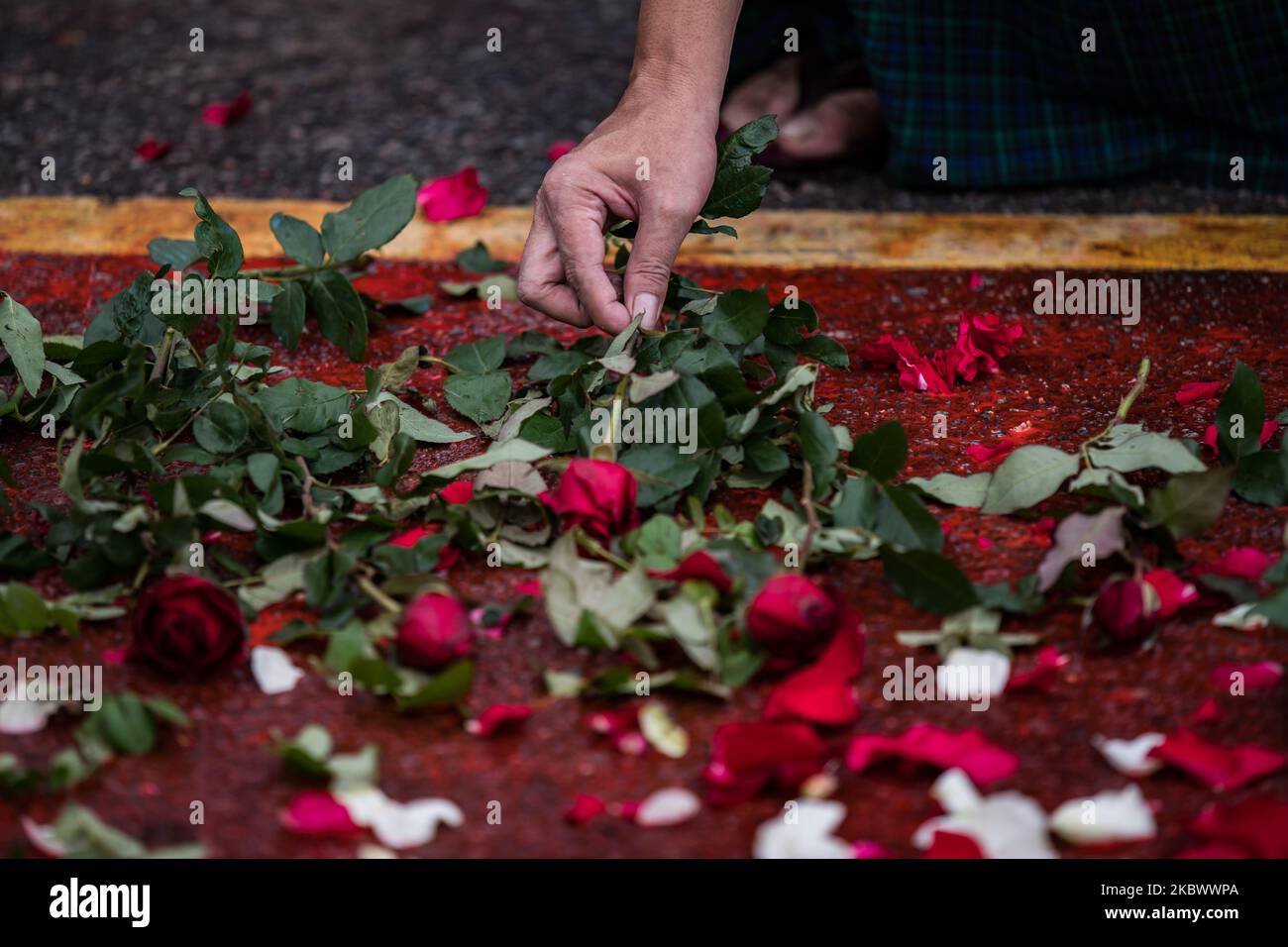 Bloody red rose hi-res stock photography and images - Alamy