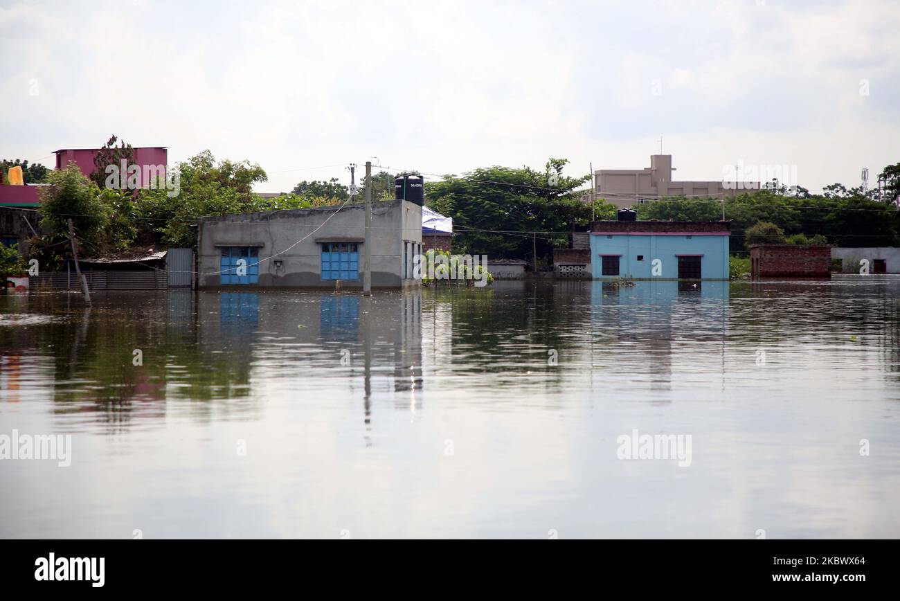 Savar tree hi-res stock photography and images - Alamy