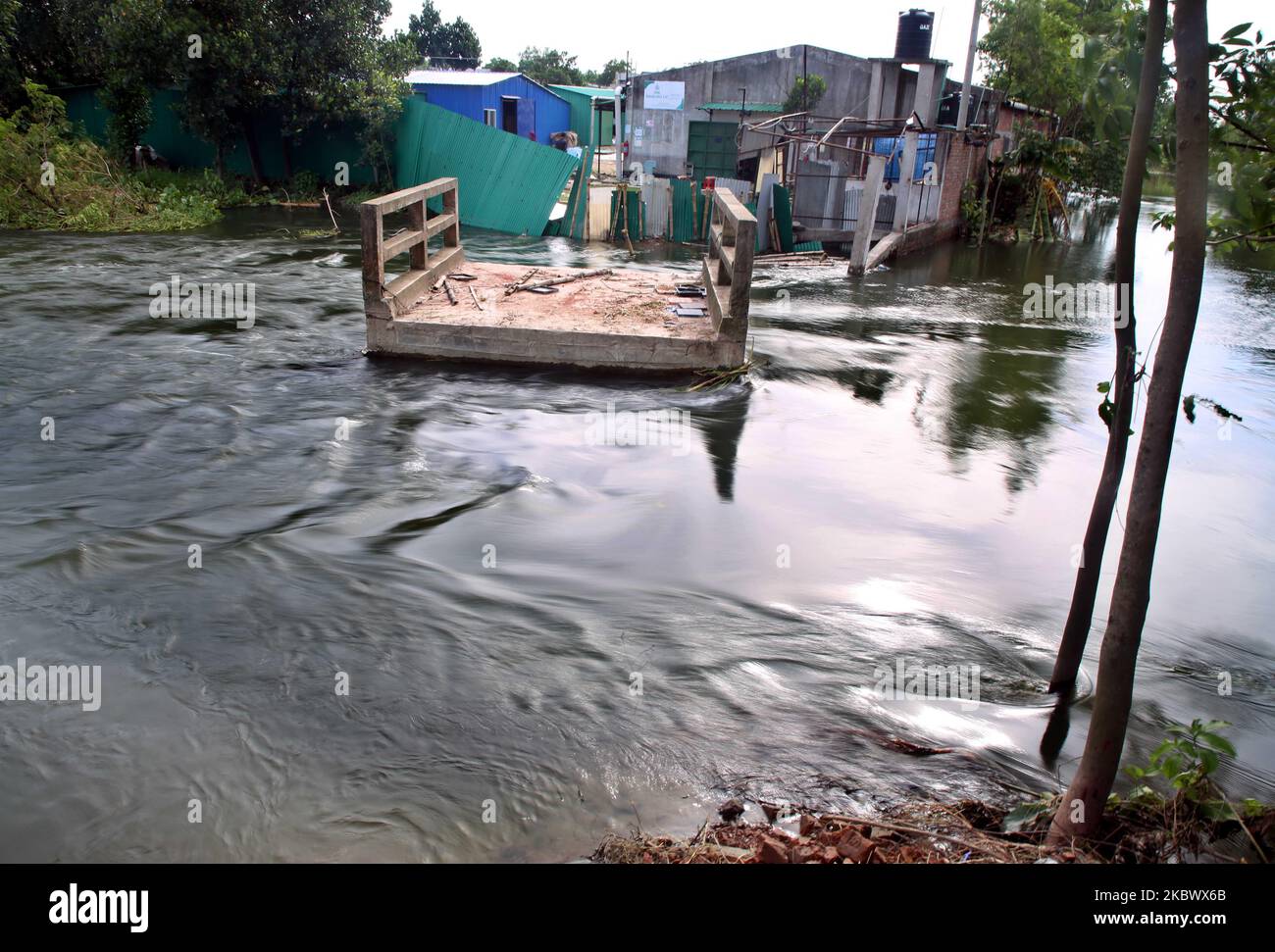 Savar tree hi-res stock photography and images - Alamy