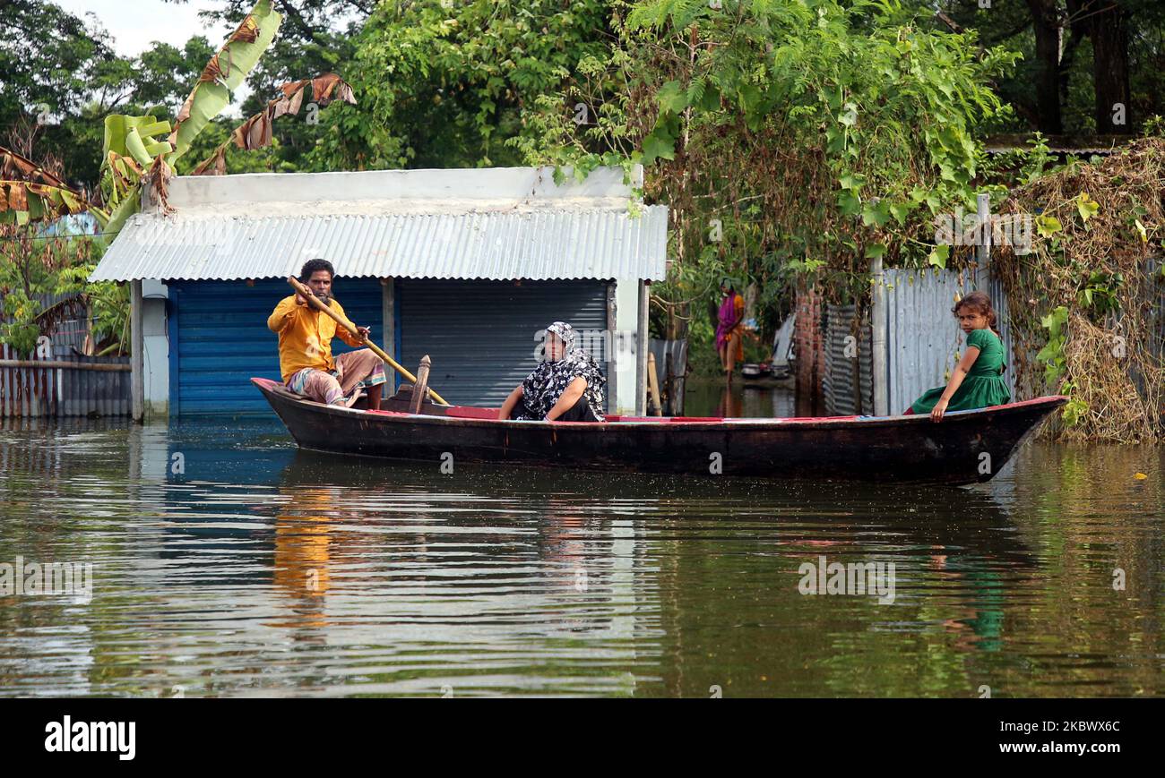Savar tree hi-res stock photography and images - Alamy