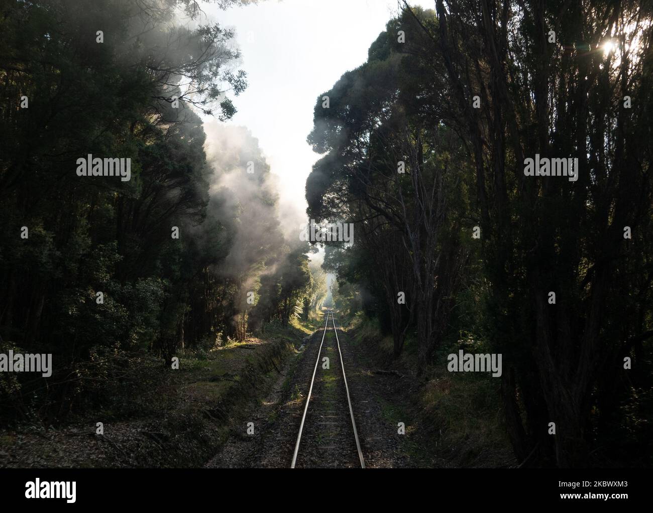A railway track surrounded by green trees in Australia Stock Photo - Alamy