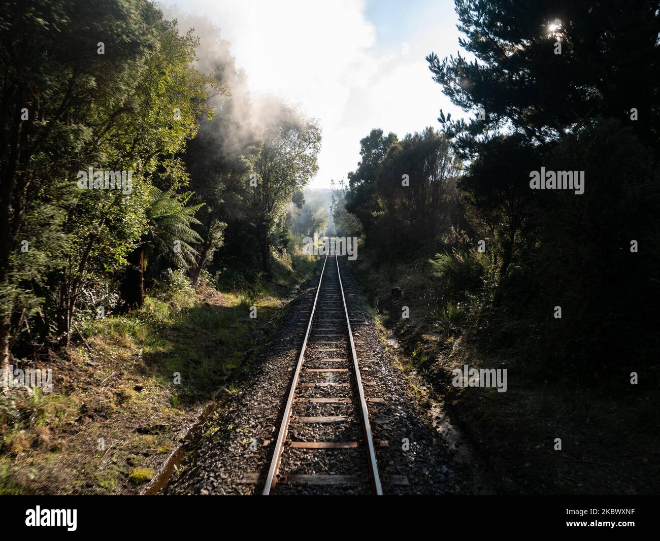 A railway track surrounded by green trees in Australia Stock Photo - Alamy