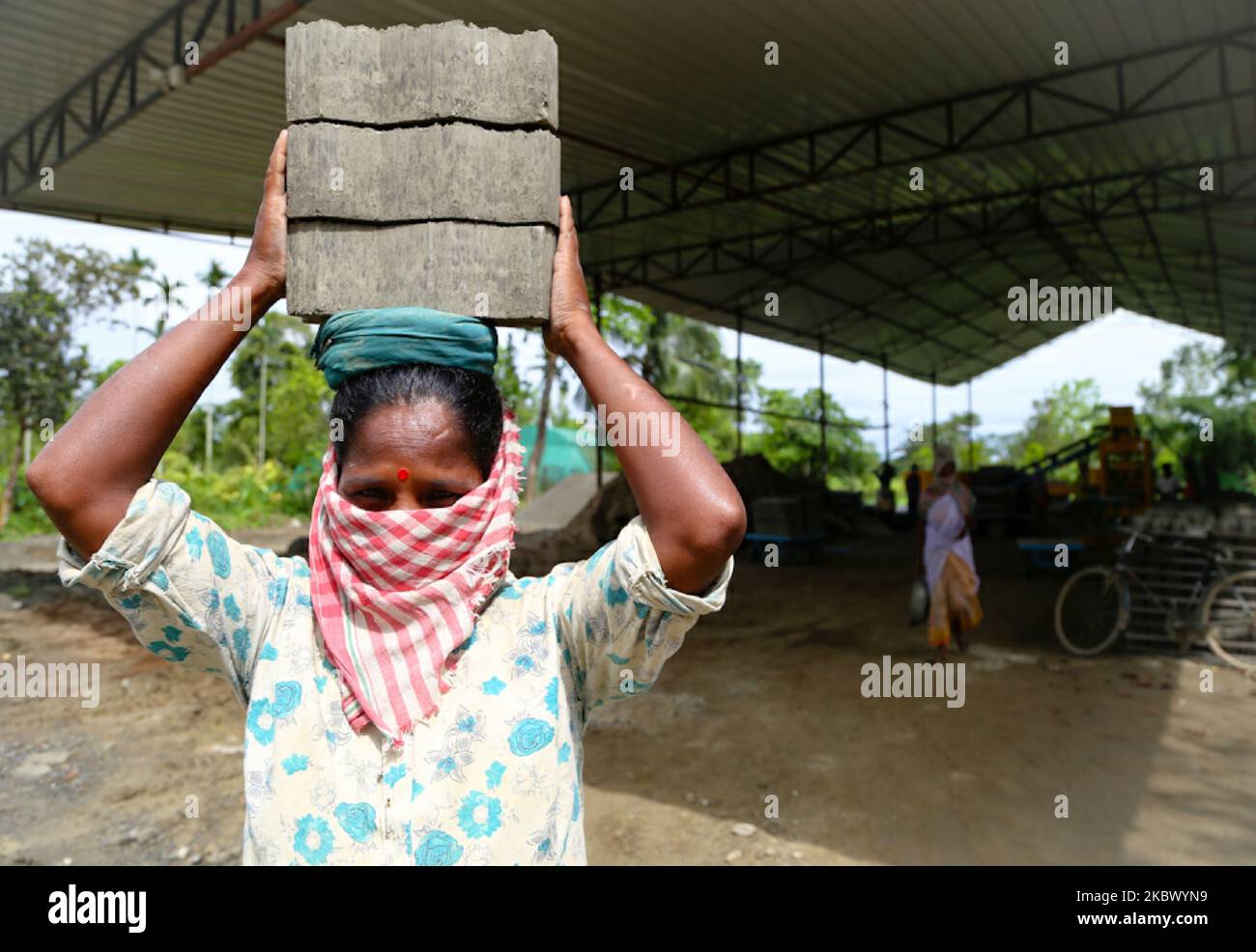 Women workers in Assam, India on August 7, 2020 continues their field ...