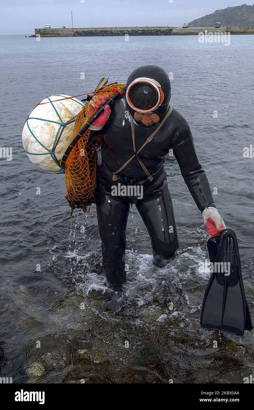 Pearl divers landing after catch the seafood near Jeju Sea in Jeju ...