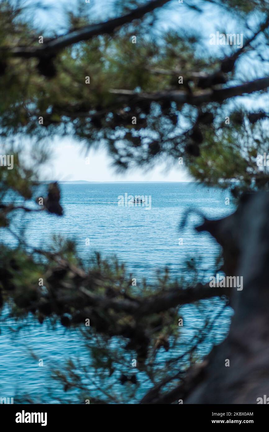 Seek time background hi-res stock photography and images - Alamy