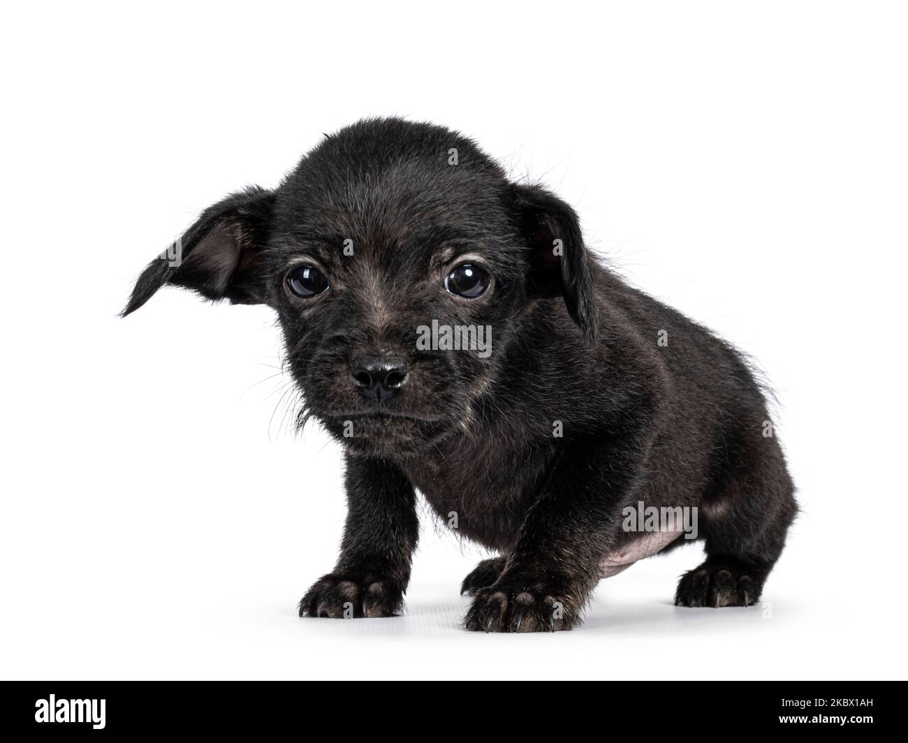 Curious ways Cut Out Stock Images & Pictures - Alamy