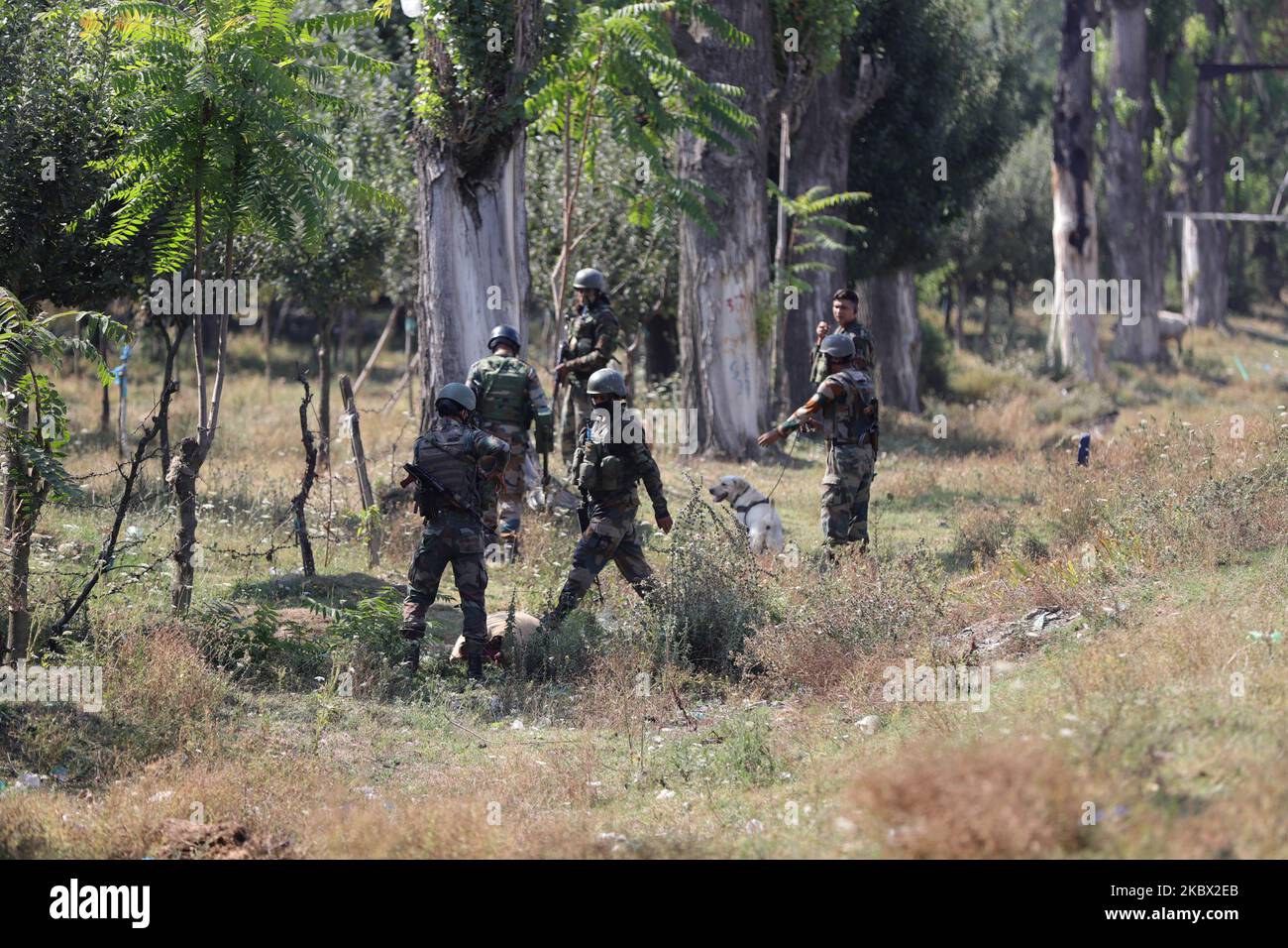 Jk police hi-res stock photography and images - Alamy