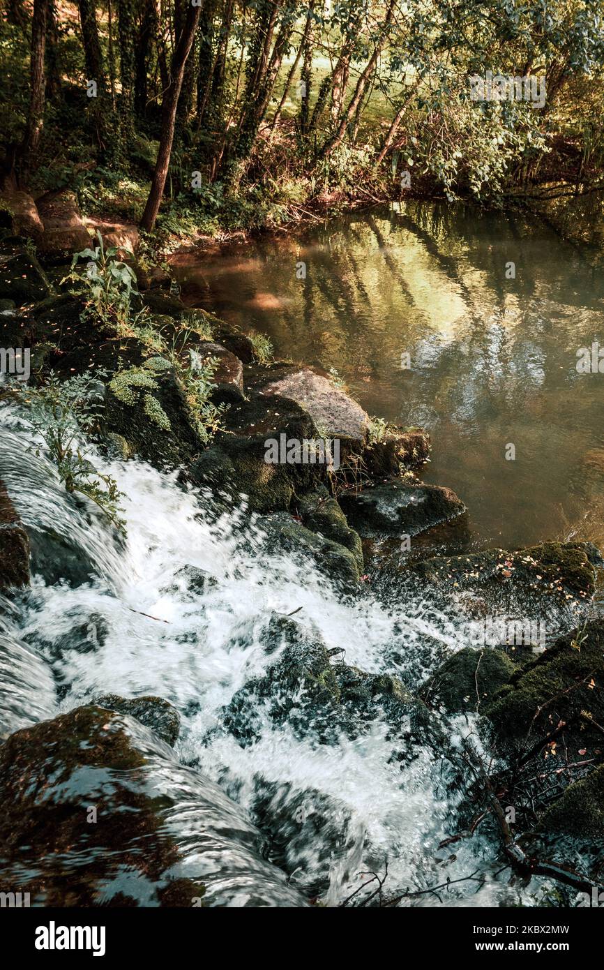 A vertical high angle shot of a small cascade flowing to a pond in the ...