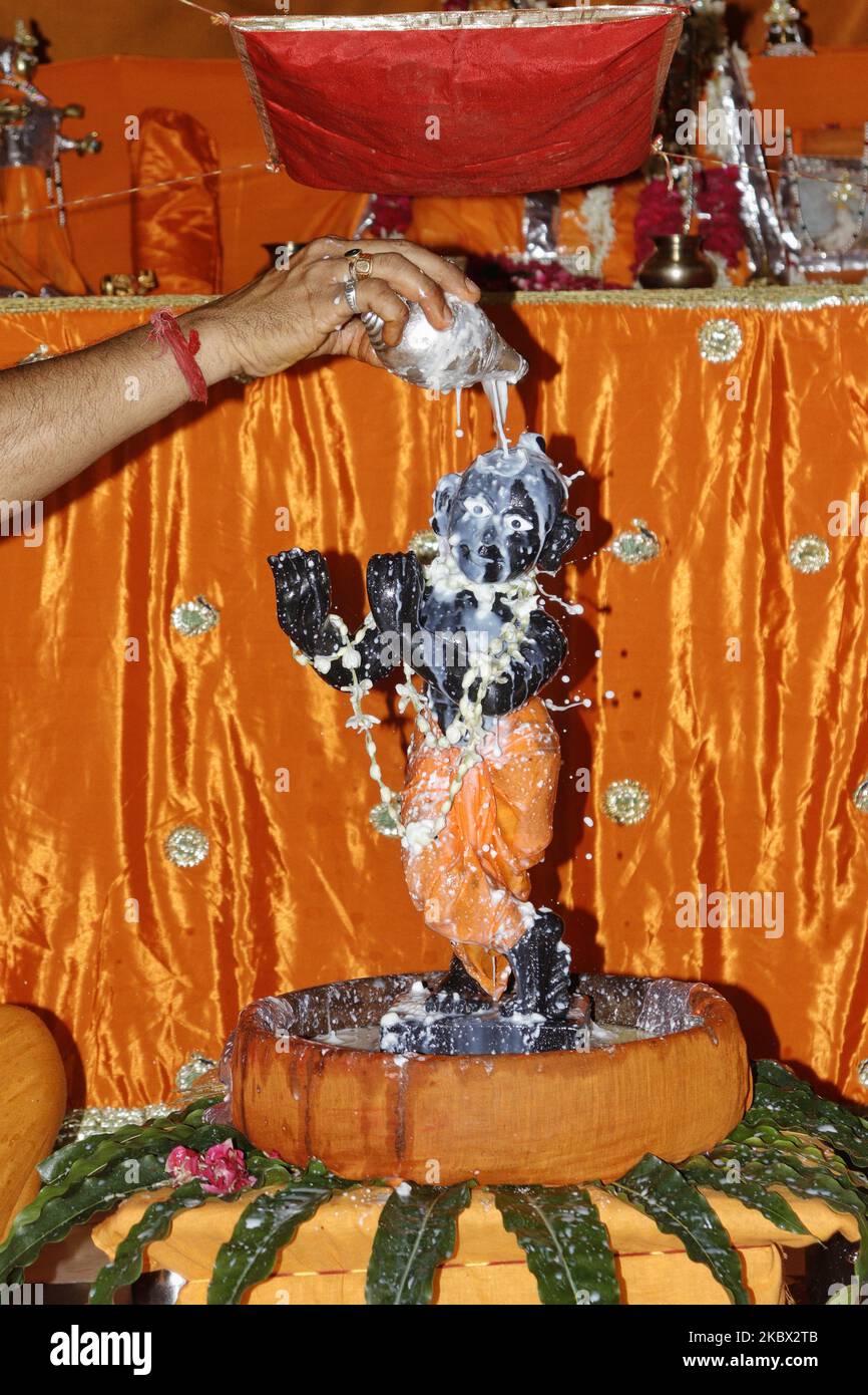 Priests perform Panch Amrit Abhishek on Lord Krishna idol at Ladli Ji ...