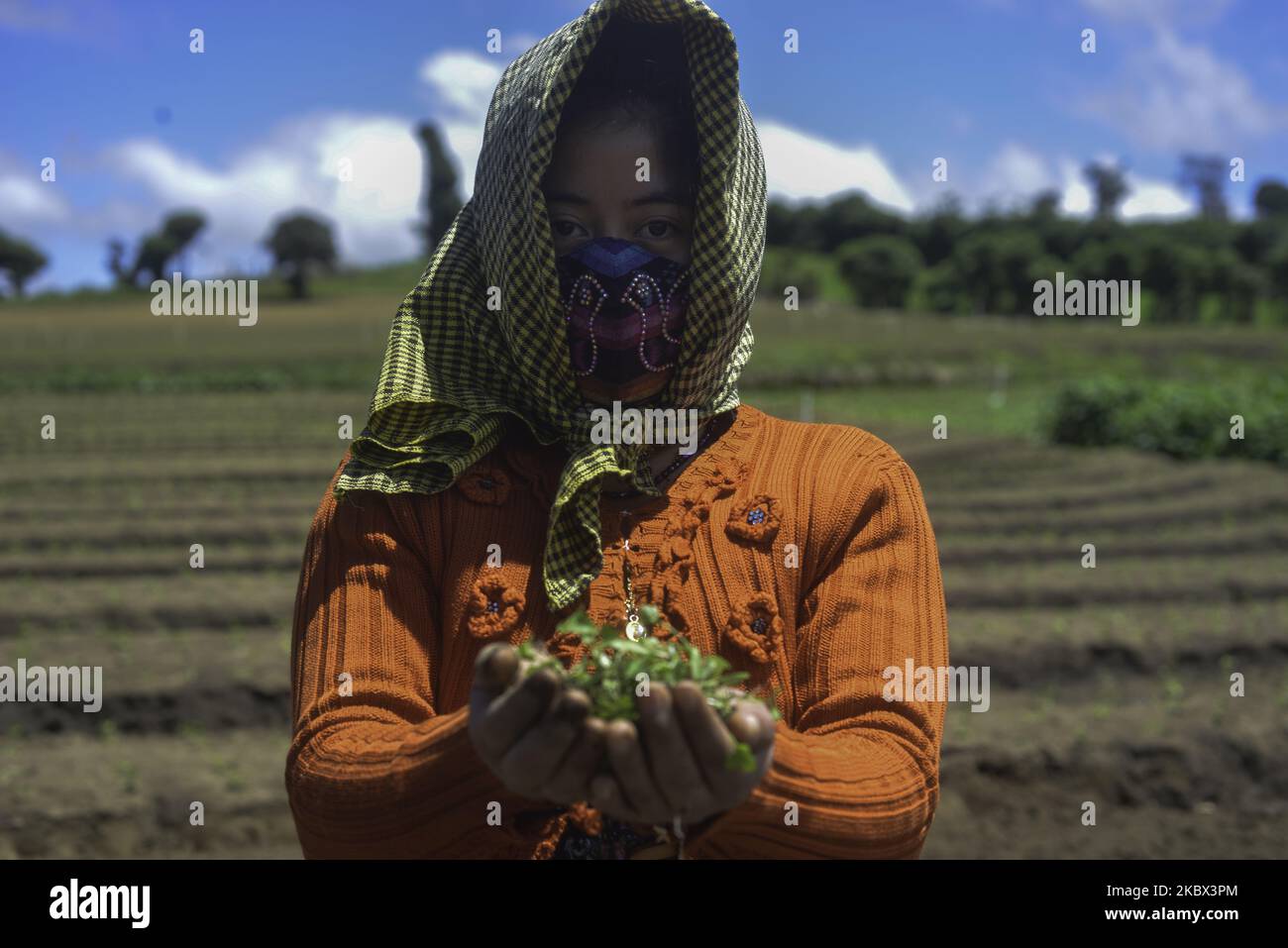 Farmer cristina patzan hi-res stock photography and images - Alamy