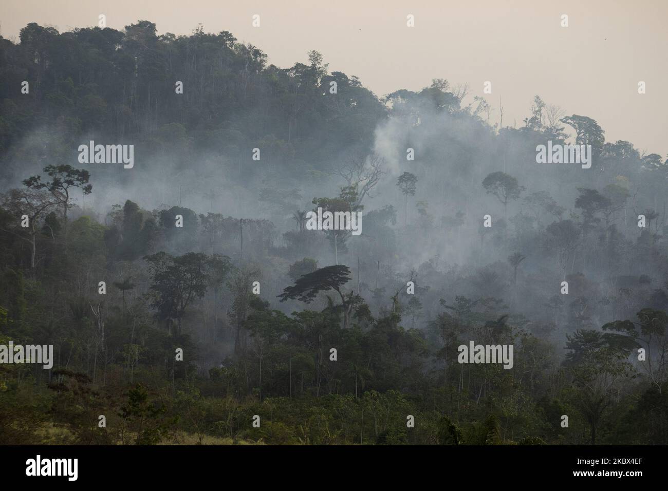 Smoke from burning in the Amazon rainforest on August 13, 2020. The ...