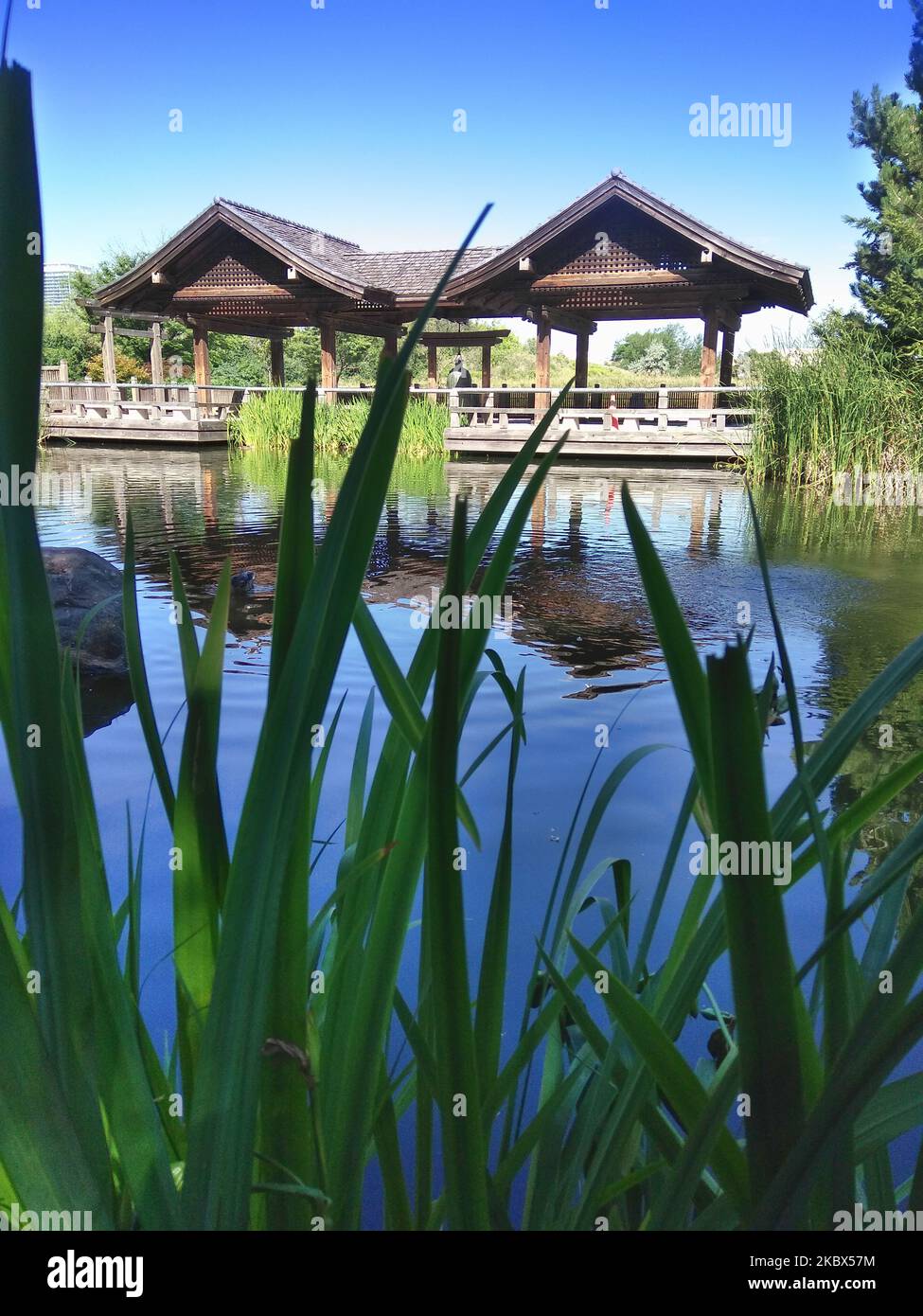 Kariya Park in Mississauga, Ontario, Canada, on August 13, 2020. Kariya ...