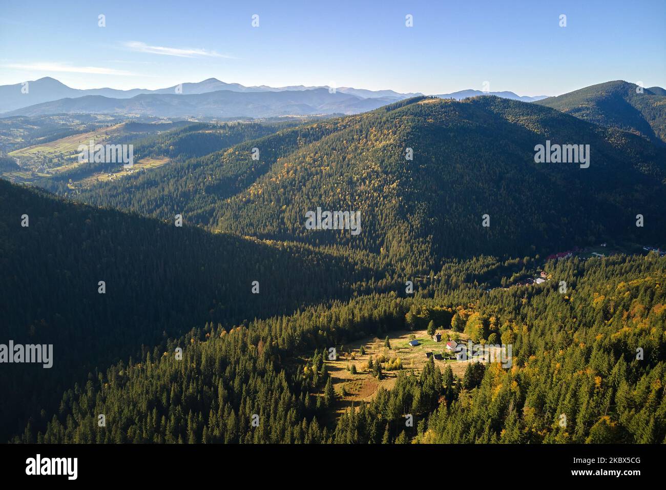 Aerial view of hillside with dark spruce forest trees at fall bright ...