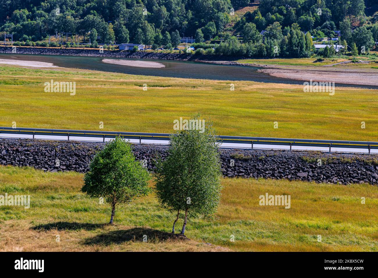 A road and trees during daytime Stock Photo - Alamy