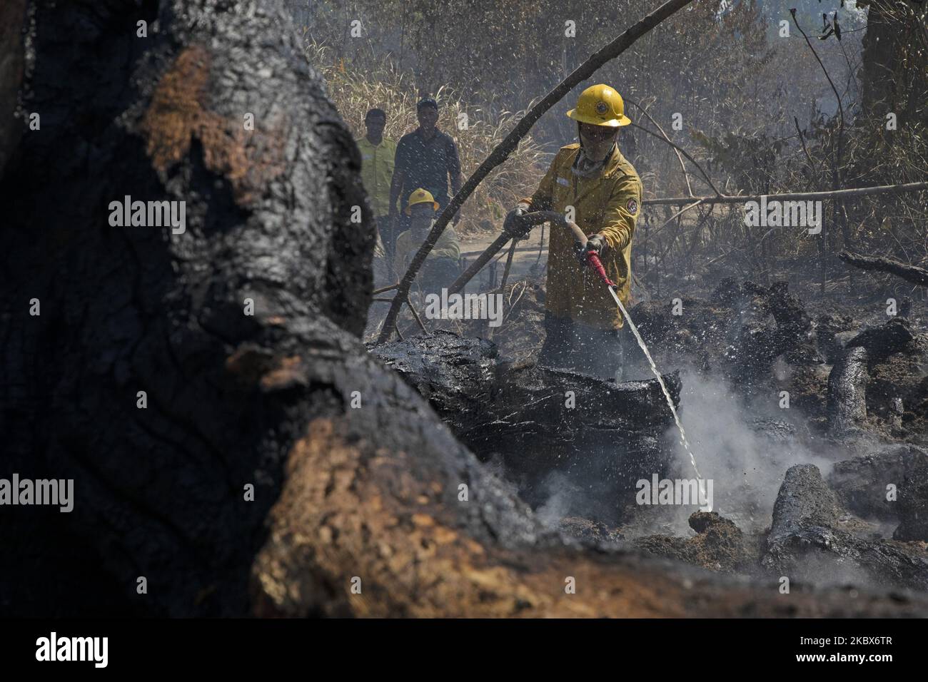 Fire and prevention group from IBAMA (Brazilian Institute of ...