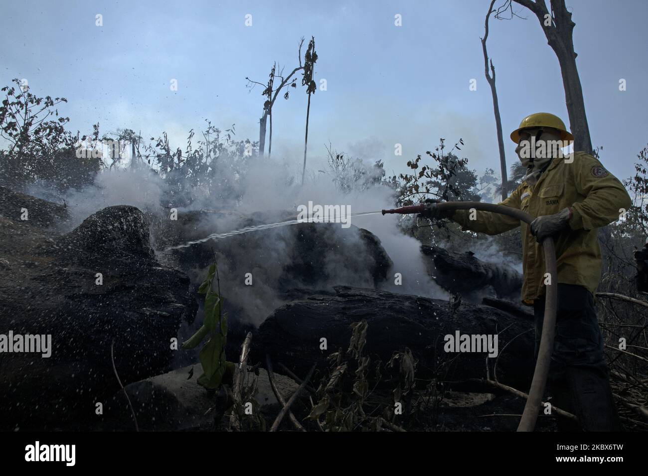Ibama fires hi-res stock photography and images - Alamy
