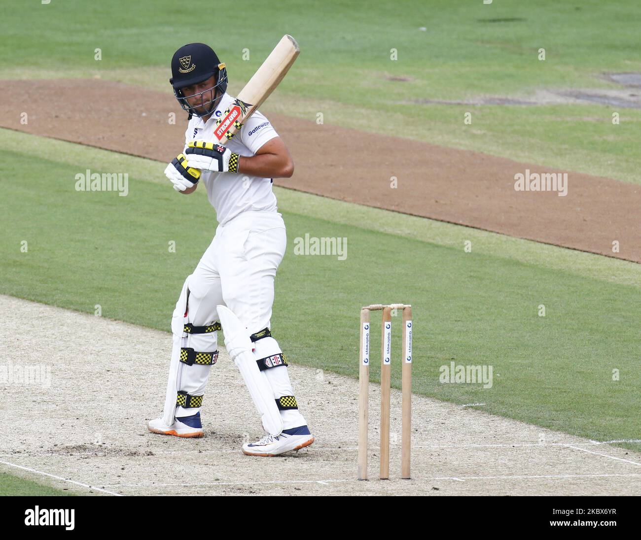 Tom haines of sussex hi-res stock photography and images - Alamy