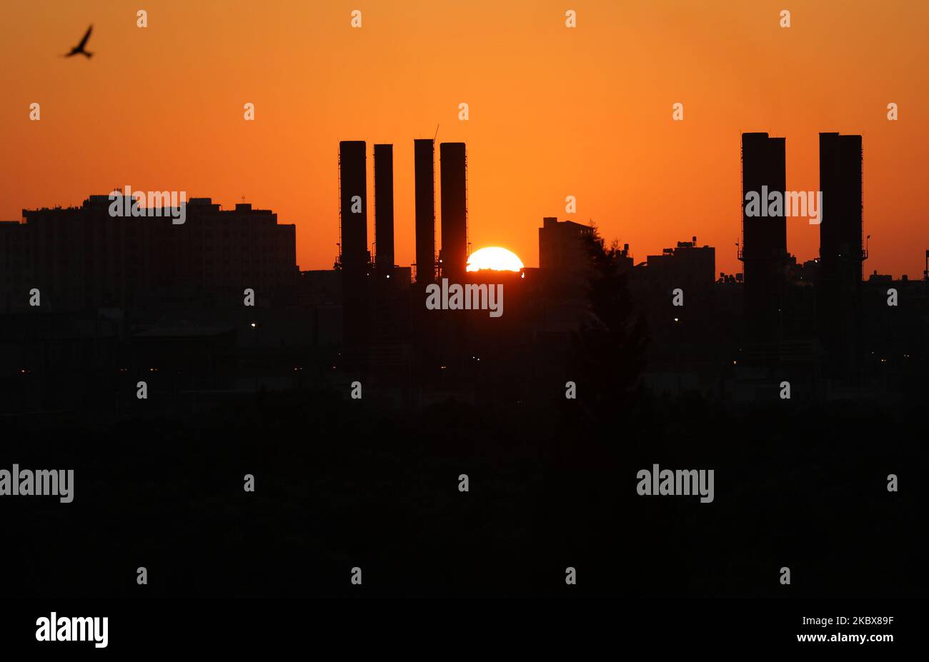 Palestinian rappers abdul rahman al shanti hi-res stock photography and ...