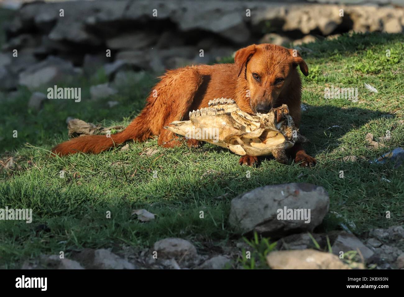 Sopore town of disrtict baramulla hi-res stock photography and images ...