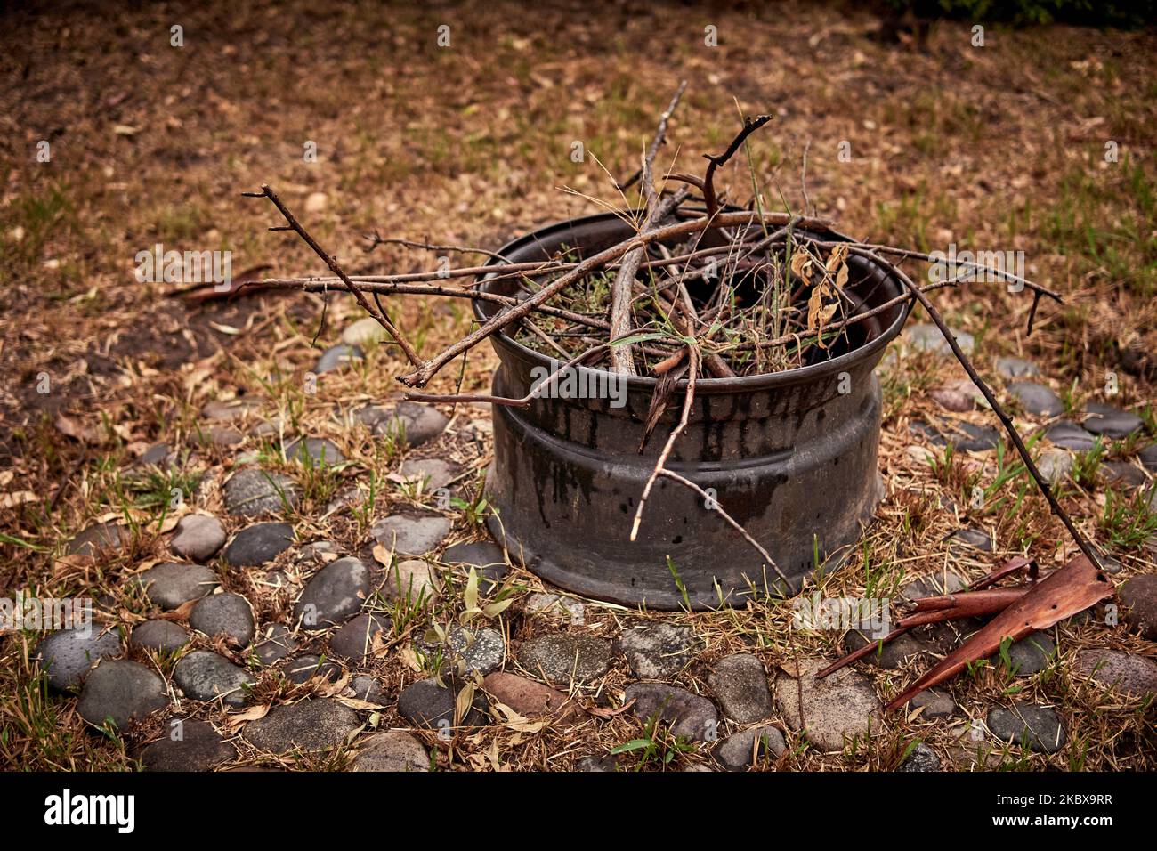 The tree branches in the iron bucket in forest Stock Photo - Alamy