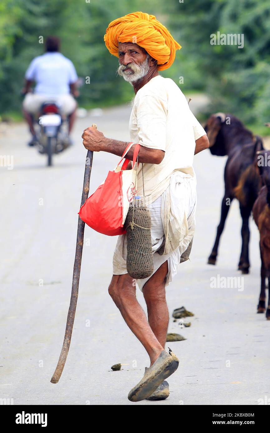 A Rajasthani shepherd Smokes 'Bidi' a Small Hand Rolled Cigarette ...