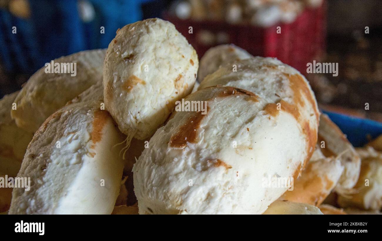 The products in Casabe Factory, made with Yuca (Cassava) in Dominican ...