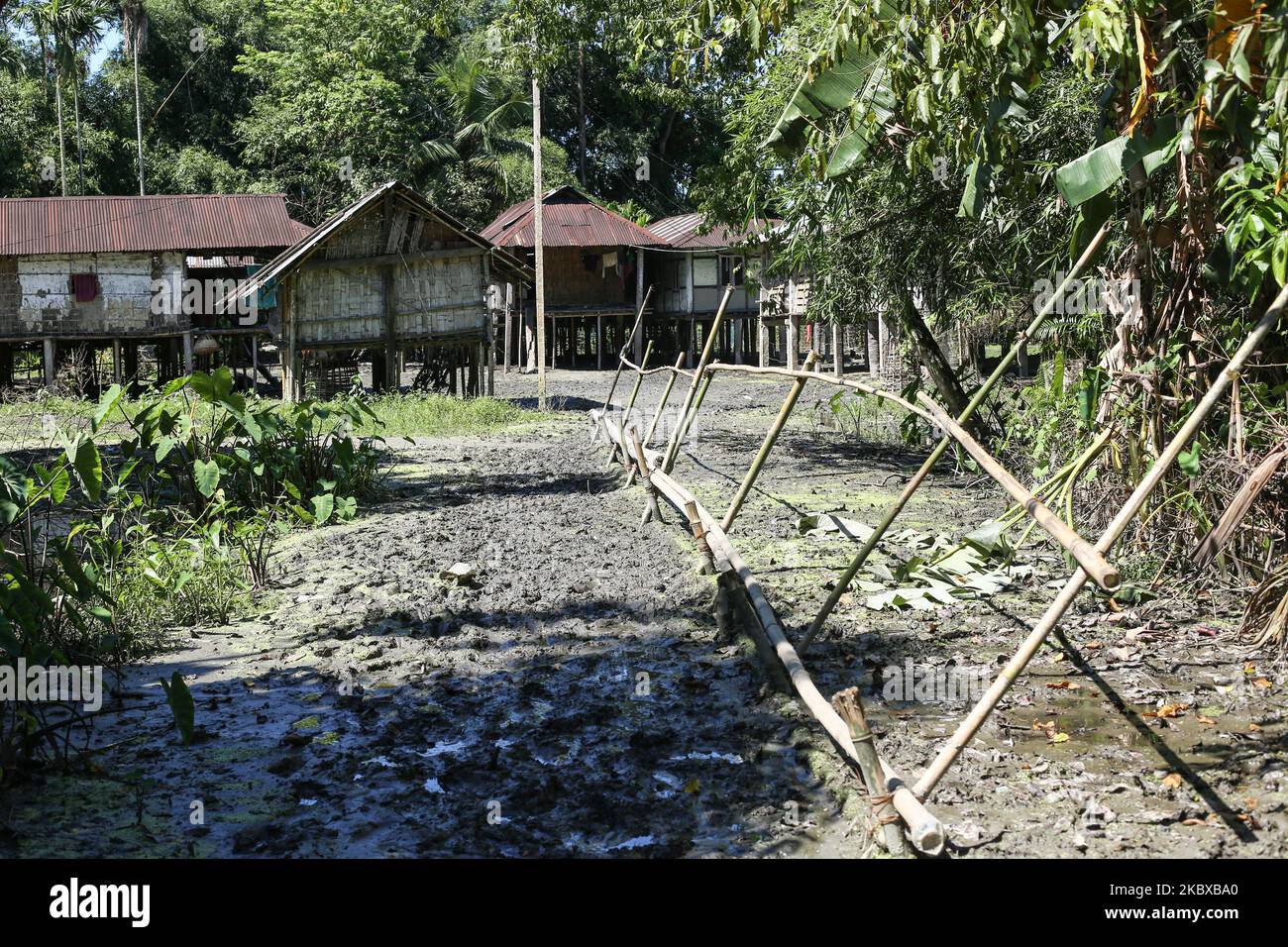 Post flood situation in Disang mukh village. Mishing tribal people made ...
