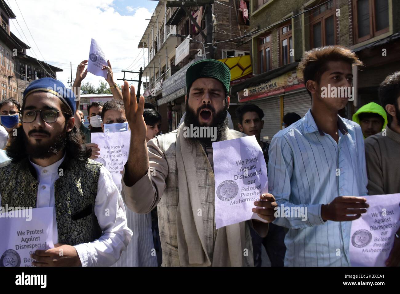 Jammus reasi hi-res stock photography and images - Alamy