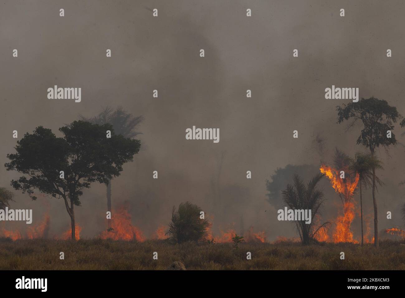 Even with a decree banning fires in all Brazilian territory for 120 ...
