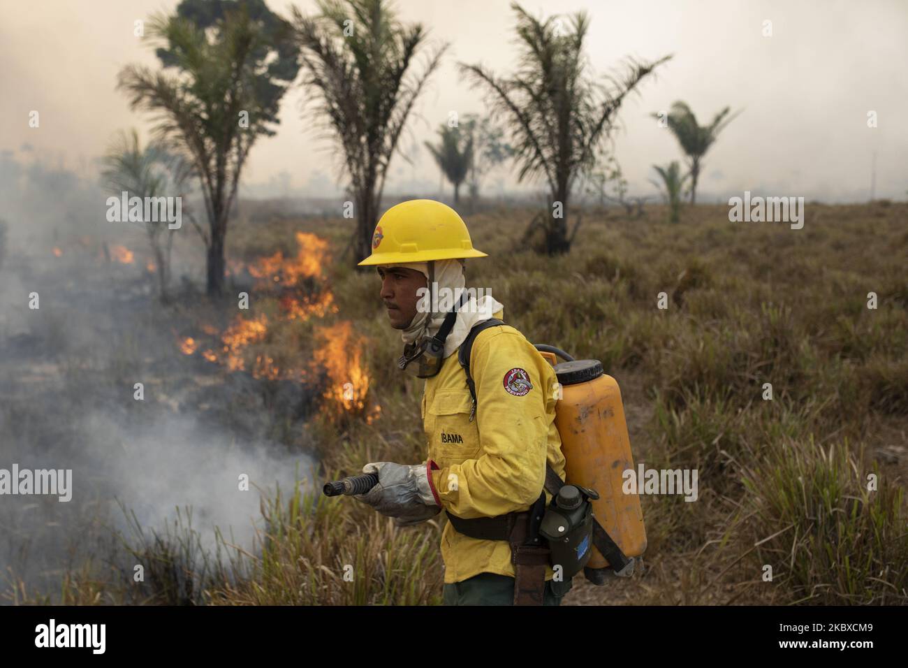 Ibama fires hi-res stock photography and images - Alamy